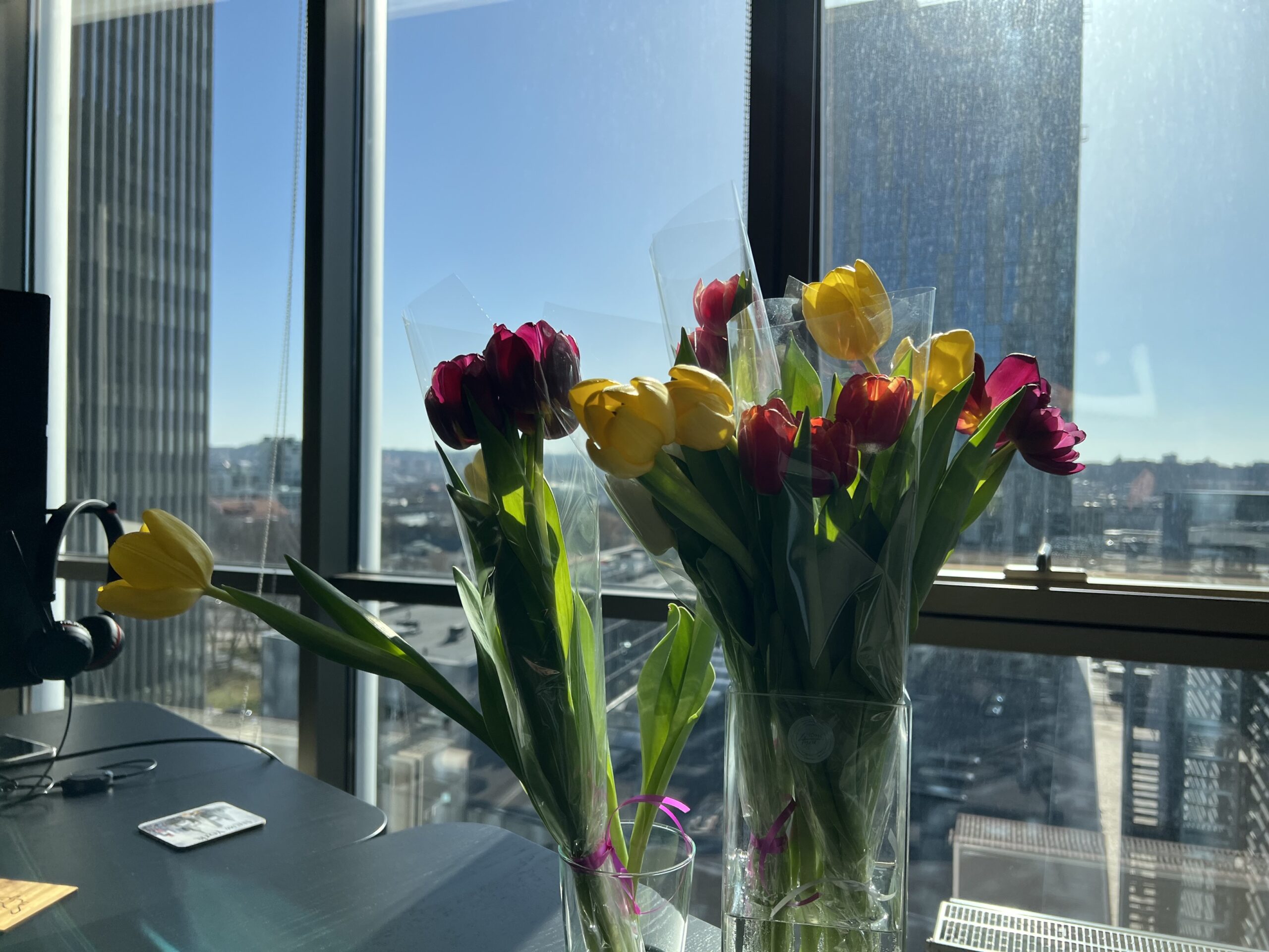 Women in PAYSTRAX | PAYSTRAX