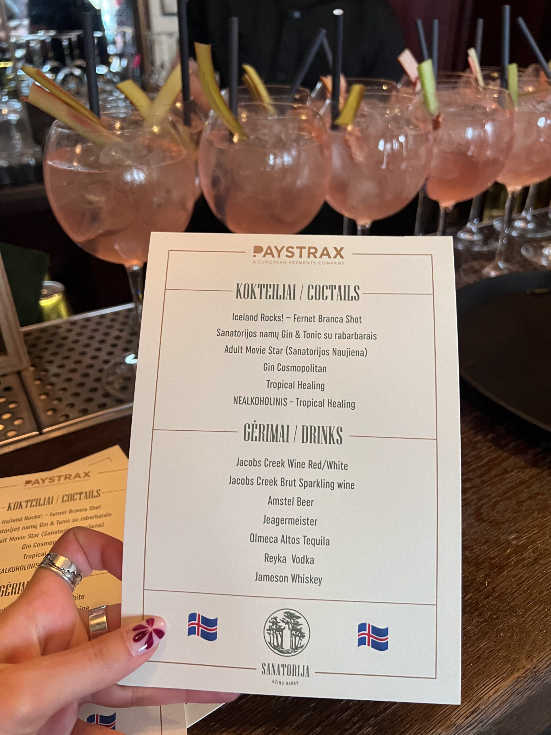 Takk, Island/Thank you, Iceland event with PAYSTRAX, 2024 | PAYSTRAX